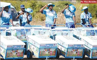 Chamisa spurns calls for protests - PressReader