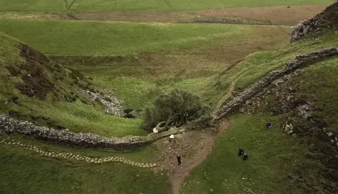 Two men who felled iconic Sycamore Gap tree on UK's Roman Wall jailed for four years - PressReader