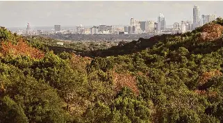 Cedar pollen falls, but expect high levels all week - PressReader