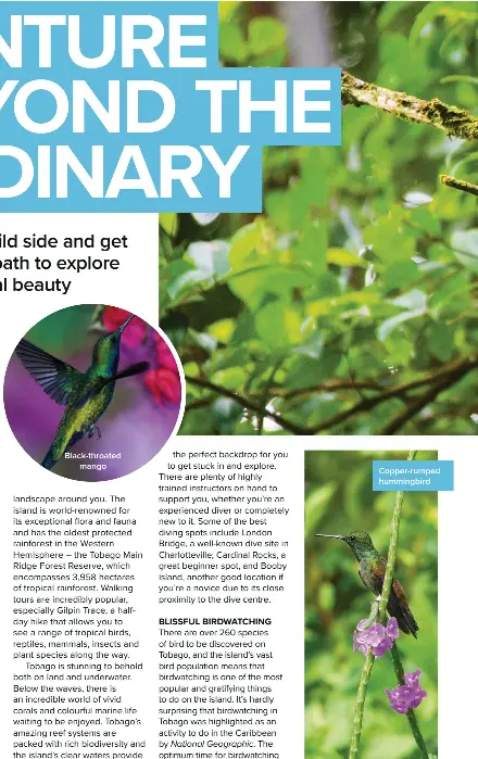 VENTURE BEYOND THE ORDINARY - PressReader