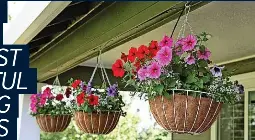 HOW TO CREATE THE MOST BEAUTIFUL HANGING BASKETS - PressReader