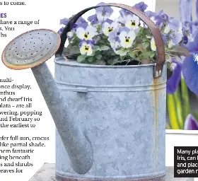 Make the most of your greenhouse - PressReader