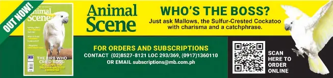 Esteban banners free fencing camp - PressReader