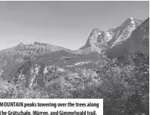 NATURE’S WONDERS - PressReader