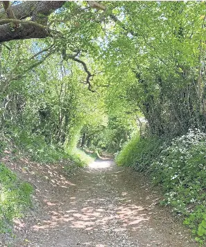 The remarkable Halnaker Holloway path which dates all the way back to ...