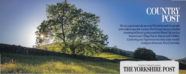 Milestone as town’s first residents connected to full fibre internet ...