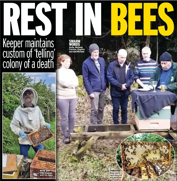 REST IN BEES - PressReader