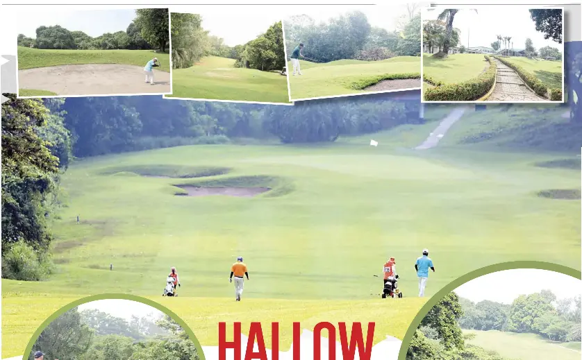 hallow ridge: an old gem OF THE SOUTH - PressReader