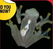 DID YOU KNOW? - PressReader