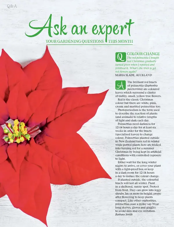 Ask our experts - PressReader