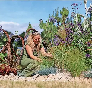 ‘Invaluable’ support for ShelterBox - PressReader