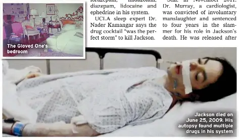 Michael Jackson Autopsy