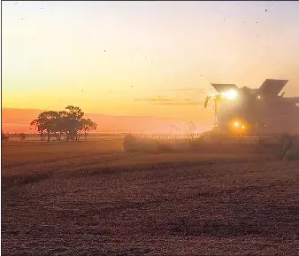 Barber’s season on track - PressReader