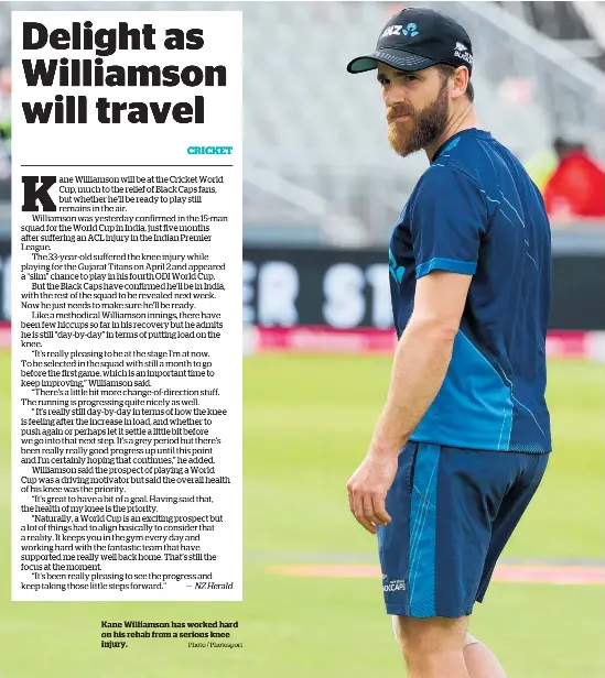 Delight as Williamson will travel - PressReader