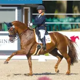 Look out for... - PressReader