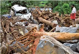 How can Wayanad reduce landslide risks? - PressReader