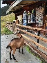 There’s so much more to the mountains than a ski trip - seven things to do in the French Alps ...