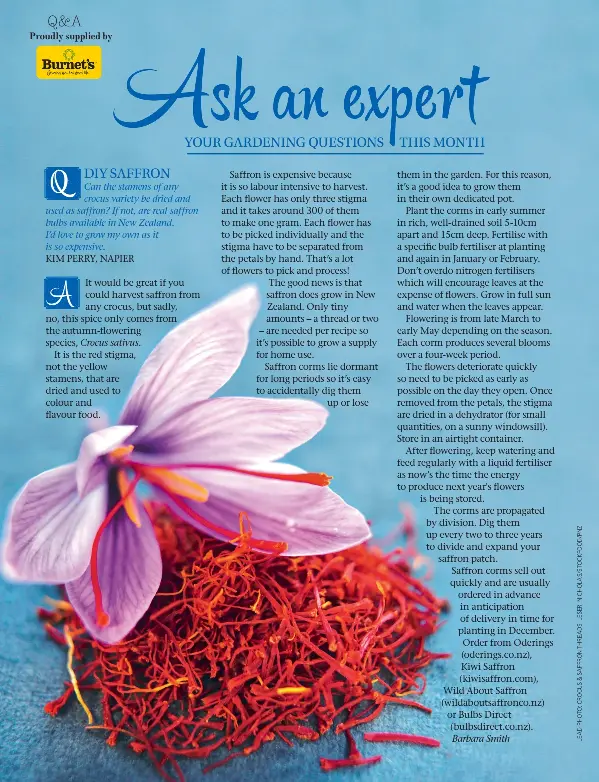 Ask our experts - PressReader