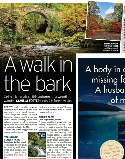 A walk in the bark - PressReader