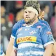 Malherbe return ‘invaluable’ on and off the pitch for the Stormers ...