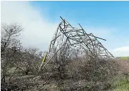 Mayor ‘was warned about the imminent collapse of power lines’ - PressReader