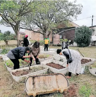Garden project is taking Merebank back to its roots - PressReader