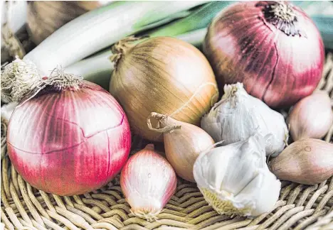 know your ONIONS - PressReader