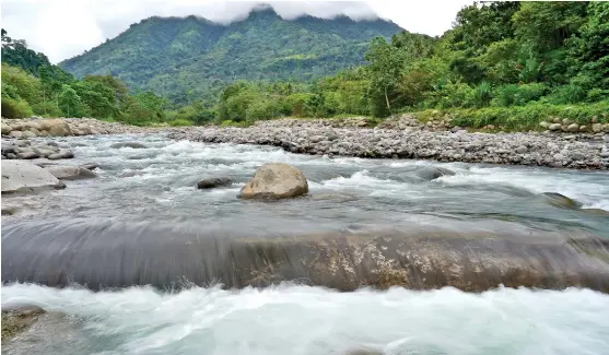 NURTURING PANIGAN-TAMUGAN WATERSHED - PressReader