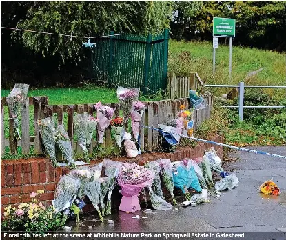 Teen who died after suspected knife attack in park is named - PressReader