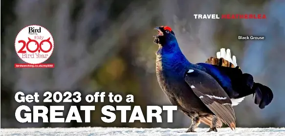 Get 2023 off to a GREAT START - PressReader