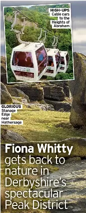 Fiona Whitty Peak times - PressReader