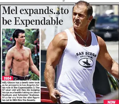 Mel Gibson Muscles