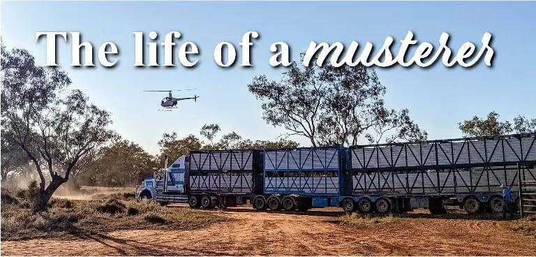 The life of a musterer - PressReader
