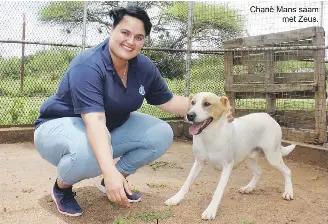 Chané se groot liefde, passie om met diere te werk - PressReader