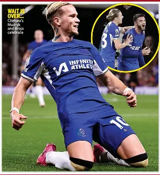 RARE POCH WIN IS SPOILED BY NEW INJURIES - PressReader