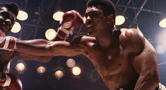 Presents that pack a PUNCH - PressReader