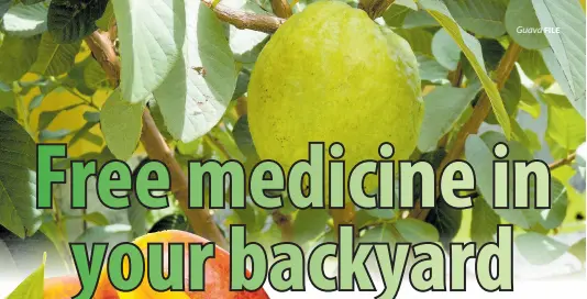Free medicine in your backyard - PressReader