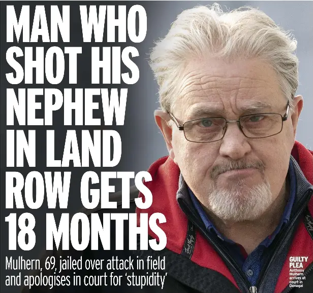 MAN WHO SHOT HIS NEPHEW IN LAND ROW GETS 18 MONTHS - PressReader