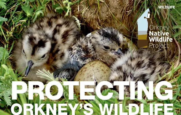PROTECTING ORKNEY’S WILDLIFE - PressReader