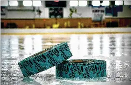 A hockey benefit with one goal: Empathy - PressReader