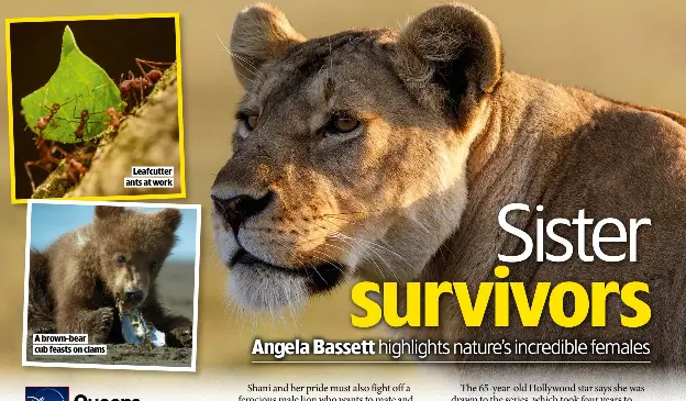 Sister SURVIVORS - PressReader