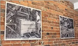 Lazy Moe’s opens Shepparton store - PressReader