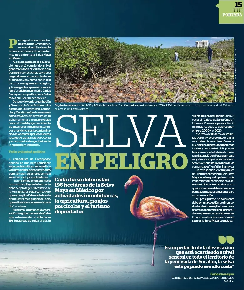 SELVA EN PELIGRO - PressReader