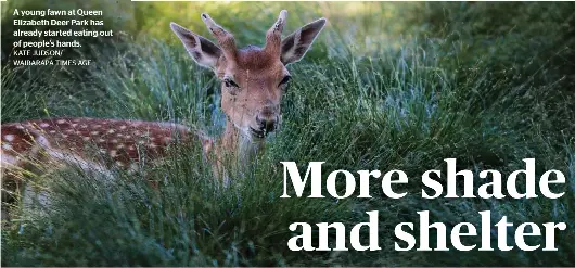 More shade and shelter - PressReader