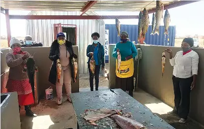 Fish farming creates jobs in rural village - PressReader