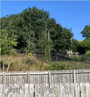 Residents told neglected land ‘too dangerous to cut’ - PressReader