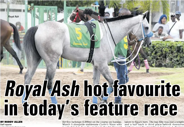 Royal Ash hot favourite in today’s feature race - PressReader