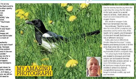 MY AMAZING PHOTOGRAPH - PressReader
