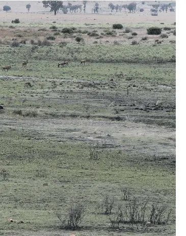 OUR BURNING PLANET - PressReader