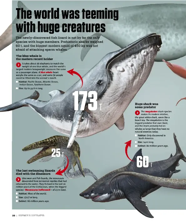 The world was teeming with huge creatures - PressReader